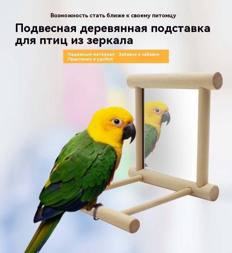 Зеркало с жёрдочкой для попугаев – деревянная игрушка для клетки, чтобы развлечь и занять птицу
