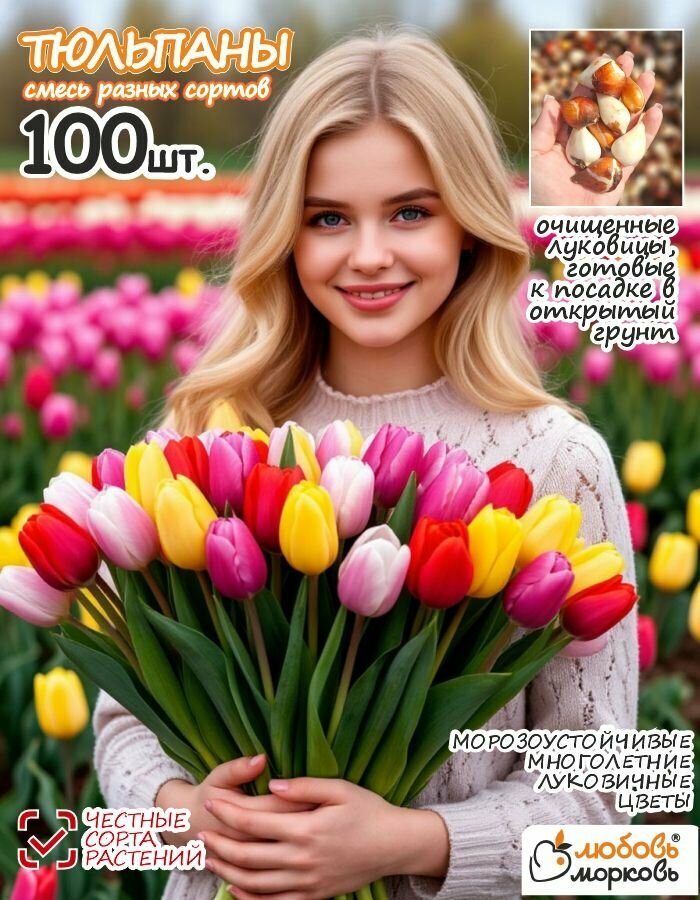 Тюльпан луковицы 100 штук микс, очищенные