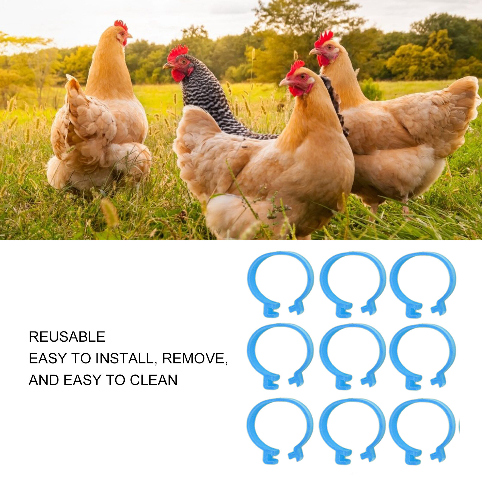 100 шт, кольцо для ног птицы, куриная птица, утка, идентификационные ленты для ног, открытый тип с пряжкой, кольца на куриную лодыжку, синие, 20 мм