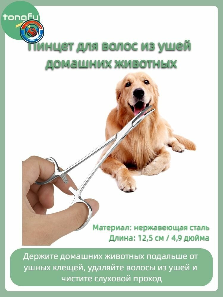 Пинцет для чистки ушей у собак и кошек, изогнутый наконечник, эргономичная ручка, нержавеющая сталь, безопасное удаление клещей и шерсти, уход за ушами питомца