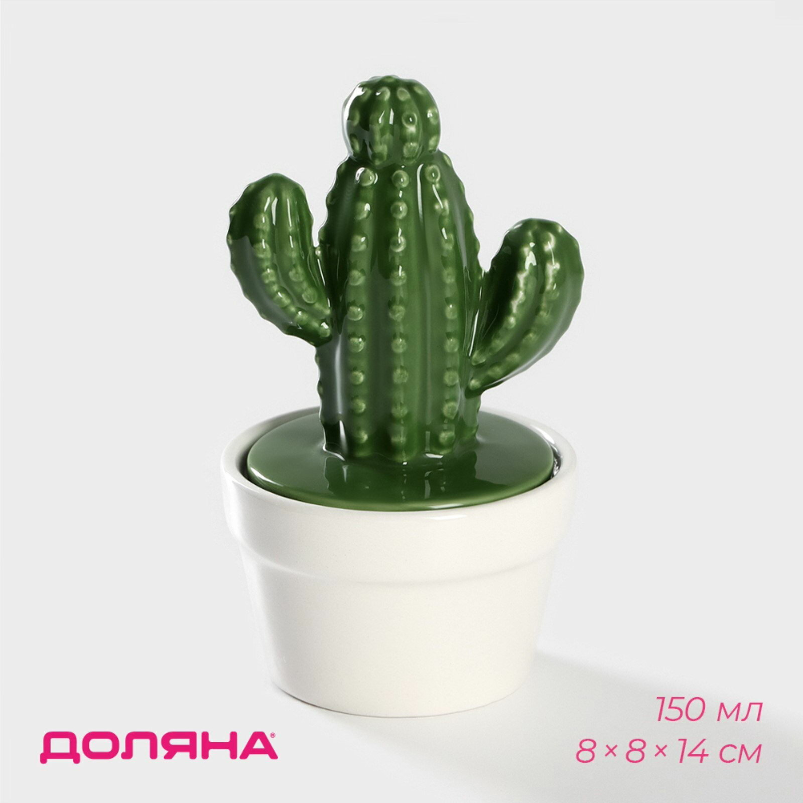 Банка для сыпучих "Кактус", 150 мл, 8x8x14 см, керамика, текстура: с рельефом