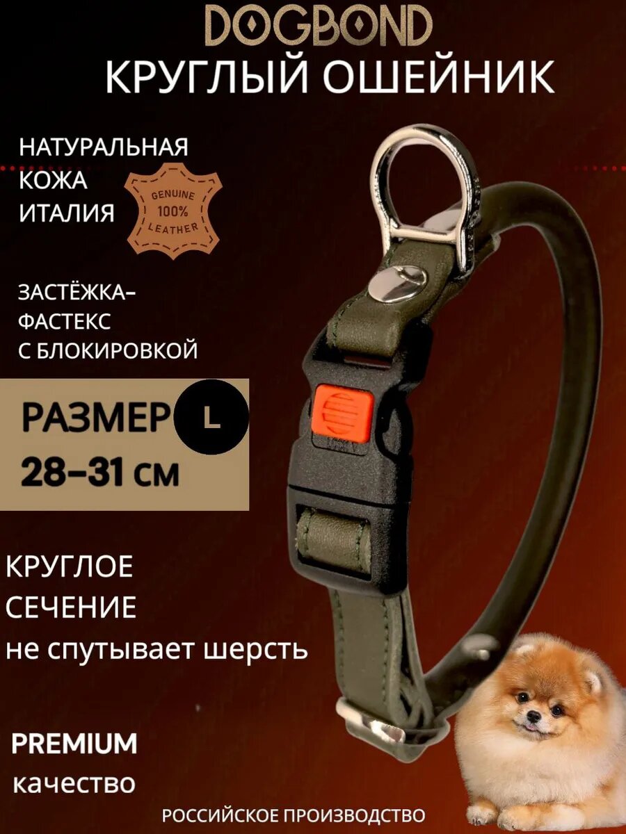 Dogbond Ошейник для шпица круглый кожаный 28-31 см