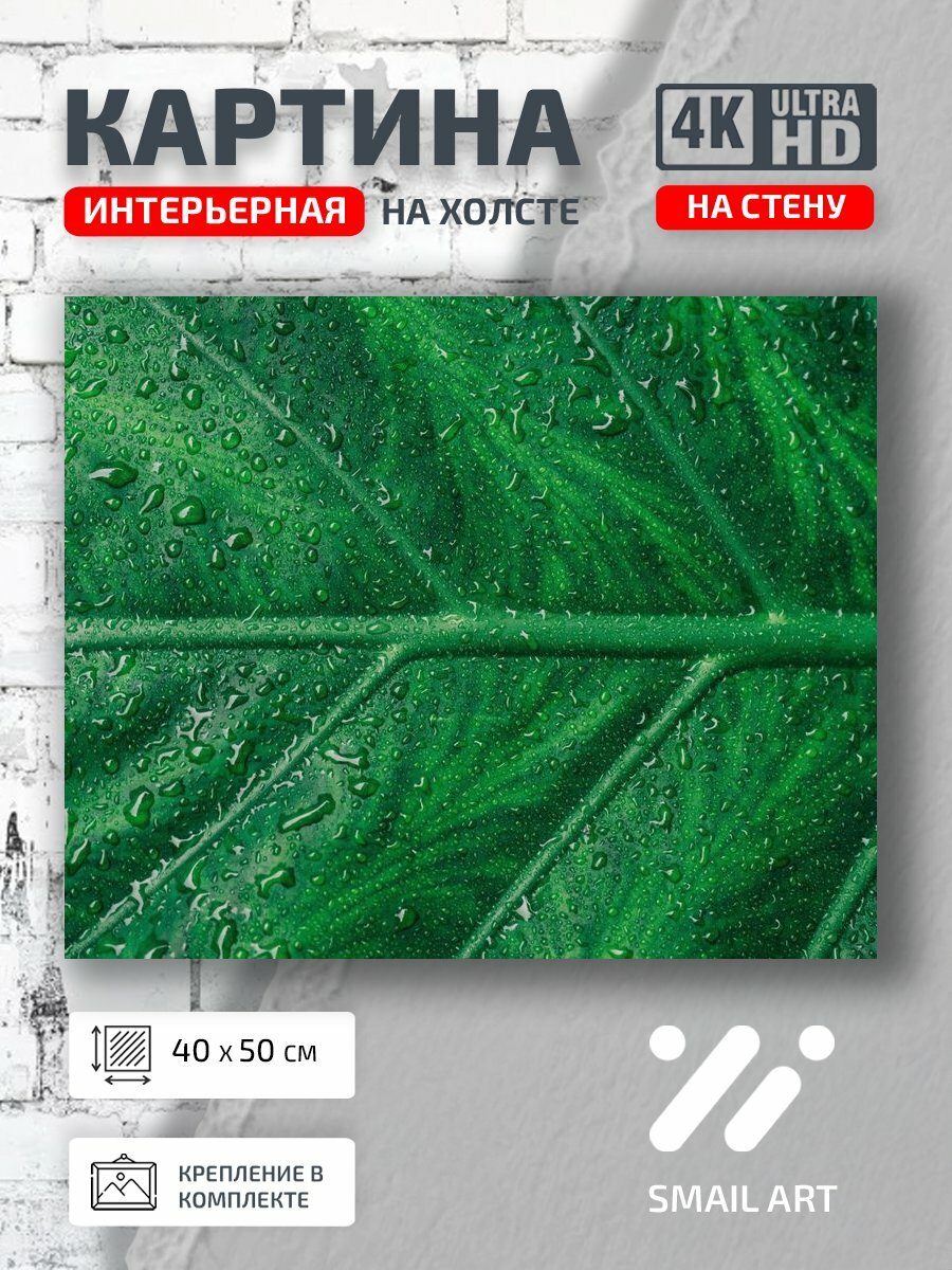 Картина на холсте интерьерная 40 на 50 на стену Капли Macro для спальни макро интерьер