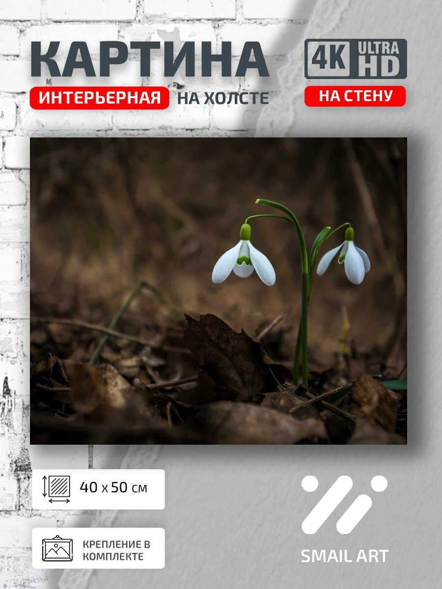 Картина на холсте интерьерная 40 на 50 на стену Лес Landscape для офиса пейзаж интерьер