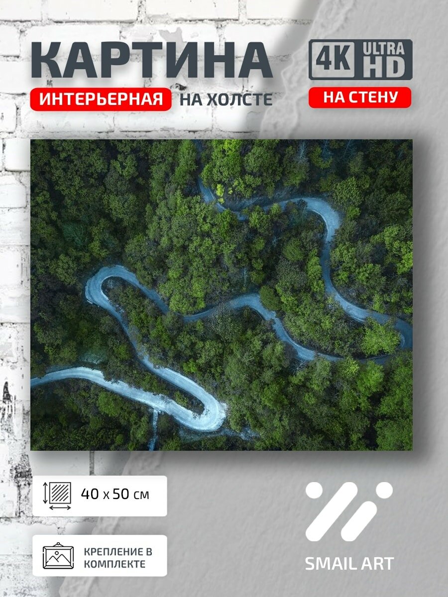 Картина на холсте интерьерная 40 на 50 на стену Лесной холод для офиса пейзаж