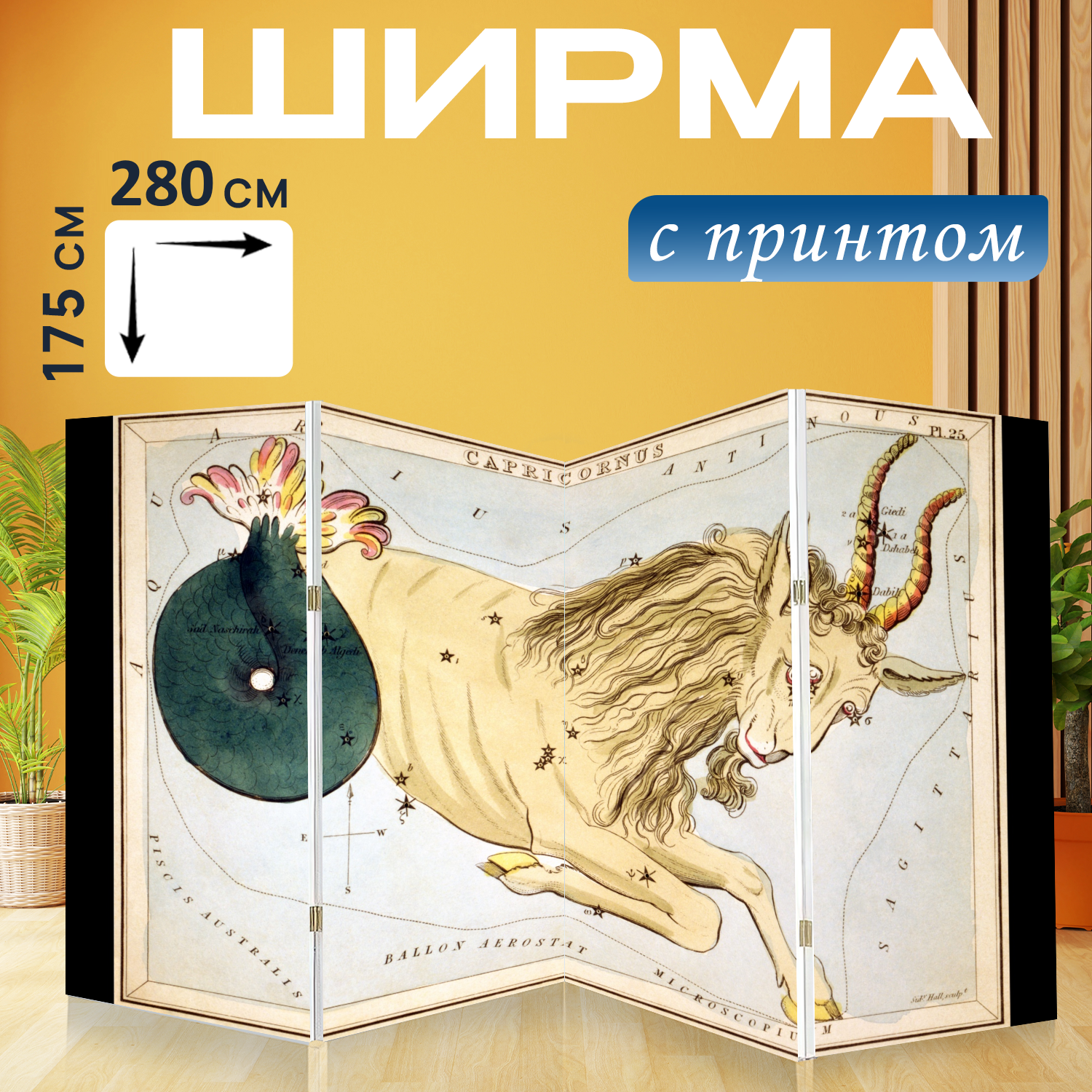 Ширма "Козерог Vintage Zodiac Art Print Козерог старинный знак зодиака созвездие козерог винтаж зодиак знак." перегородка для зонирования комнаты с принтом 280x175 см. на холсте