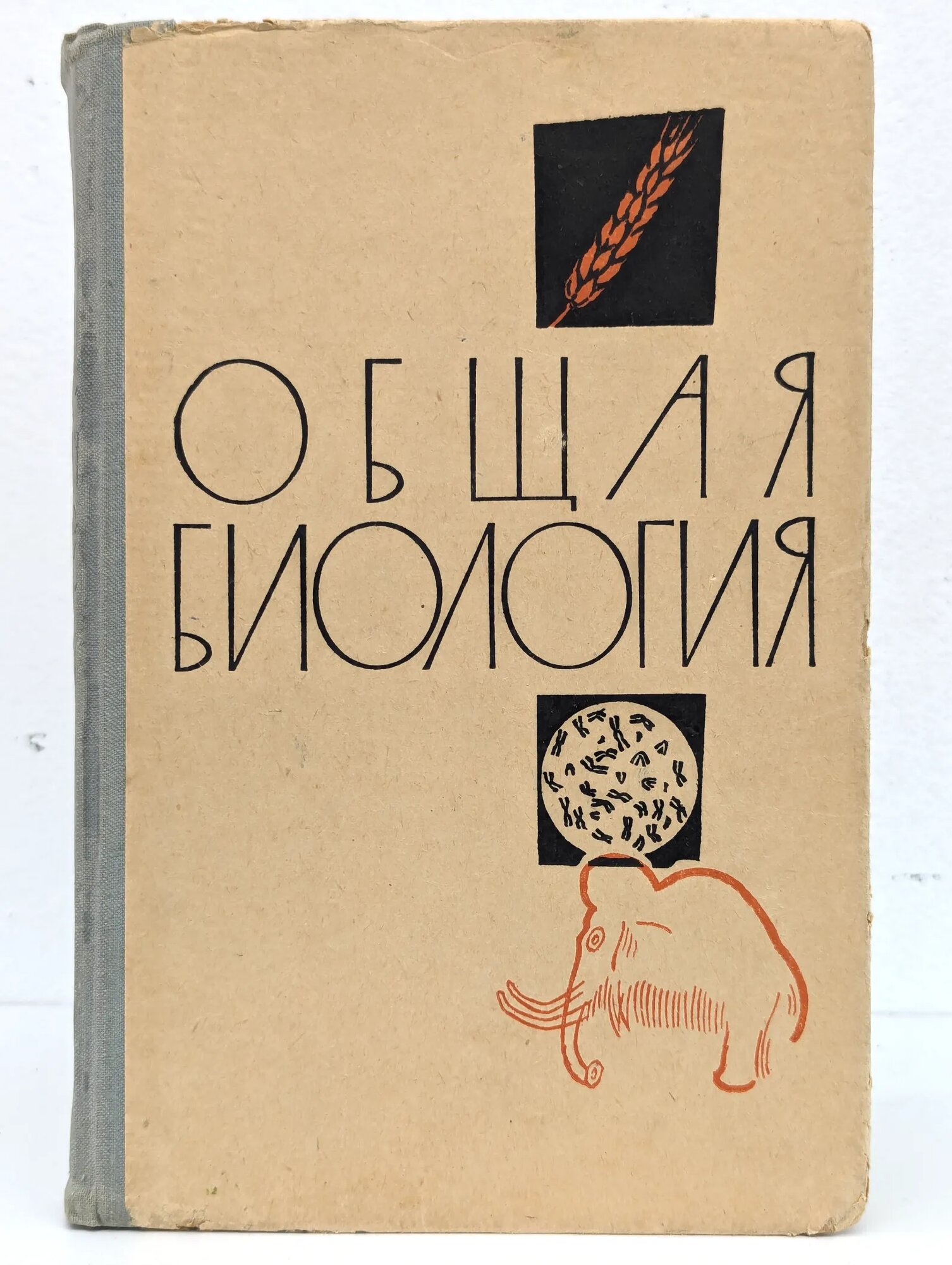 Общая биология. Учебное пособие для 10 класса средней школы Полянский Юрий Иванович 1967