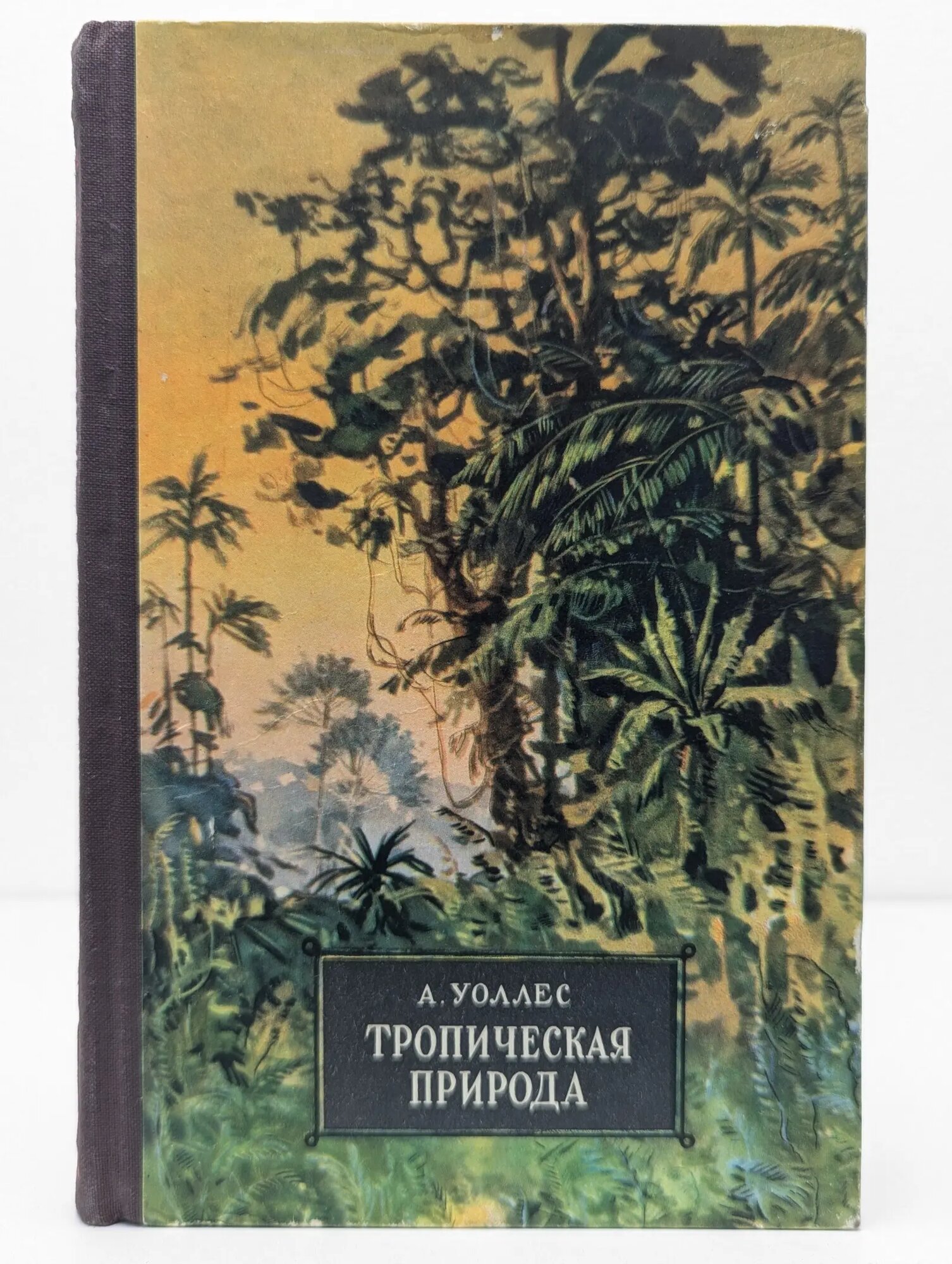 Тропическая природа Уоллес Альфред 1956