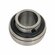 Подшипник TECHNIX UC205