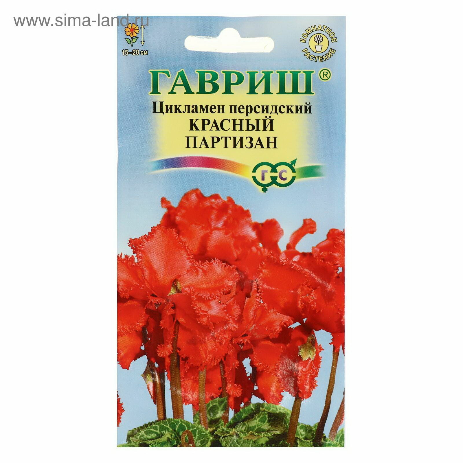 Семена цветов Цикламен "Красный партизан", ц/п, персидский, 3 шт.