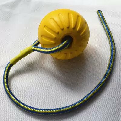 Летающее кольцо для дрессировки собак, немецкая овчарка, бордер-коллли, интерактивное тренировочное кольцо для домашних