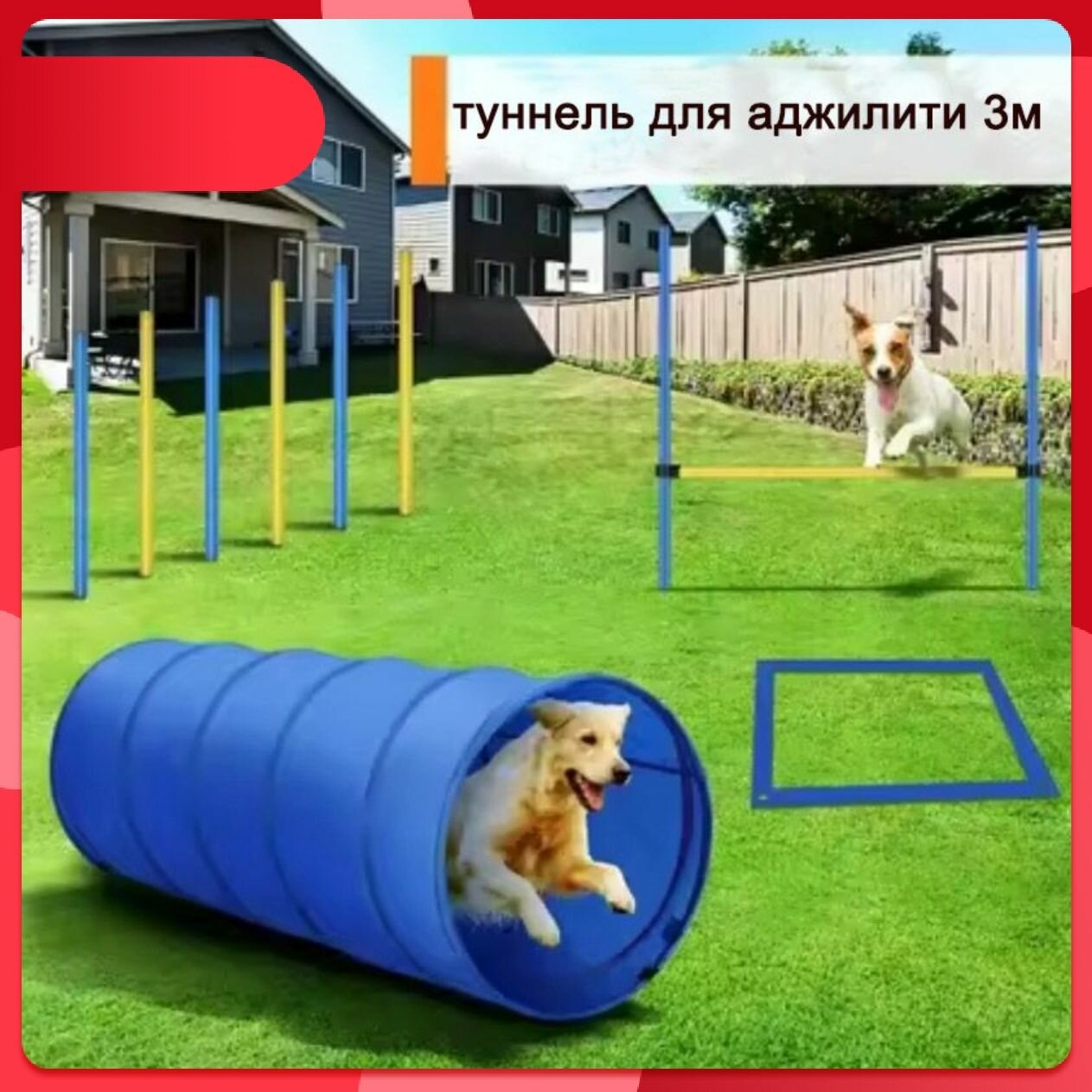 Снаряд для аджилити-liu1978