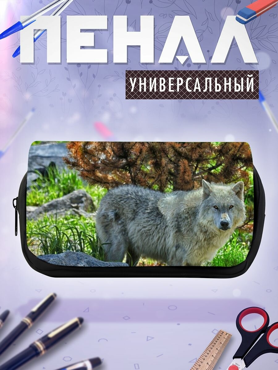 Школьный пенал живая природа каменья