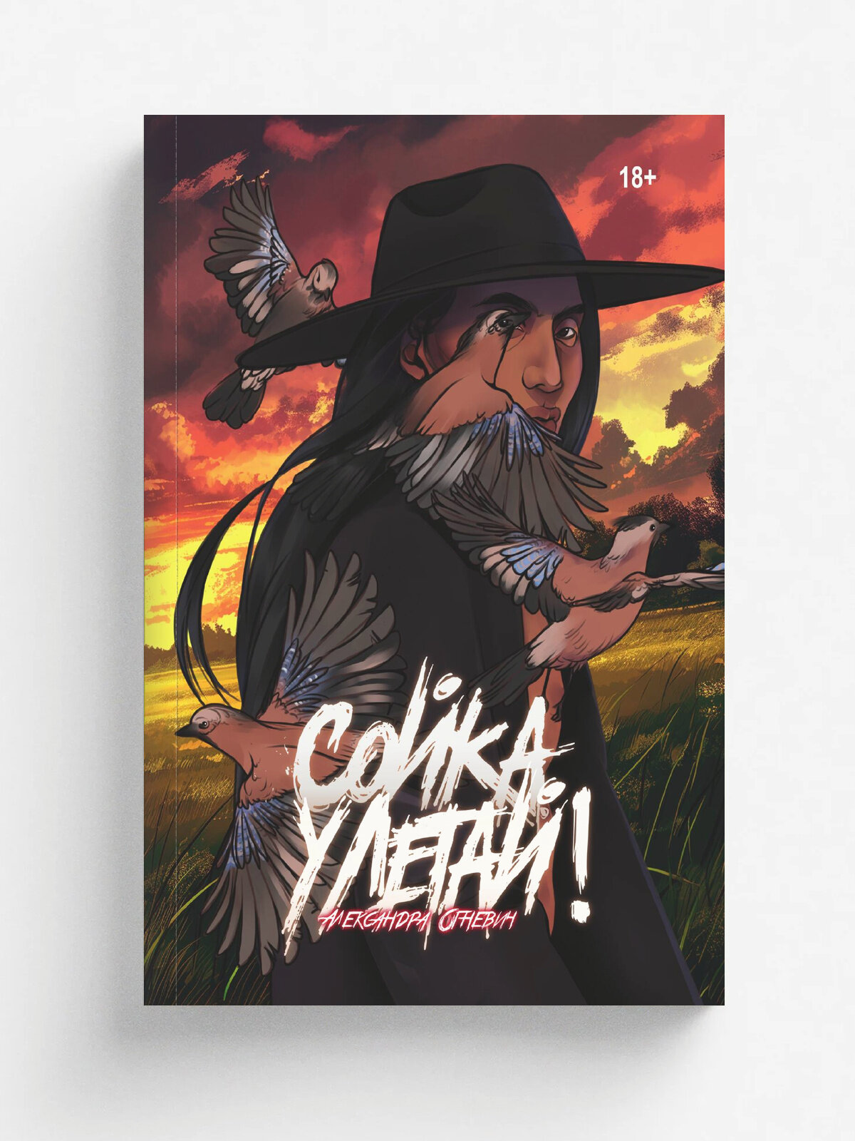 Сойка, улетай!