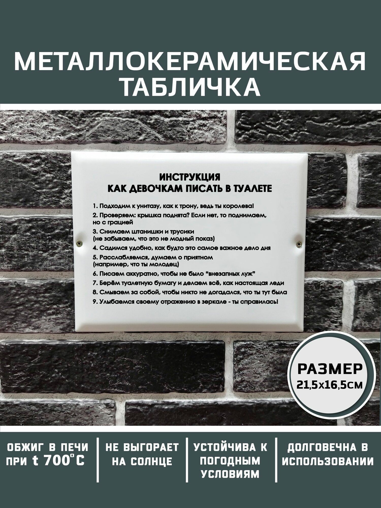 Металлическая табличка в стиле Лофт, СССР Инструкция для девочек в туалете
