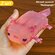 Anti-Stress Toy