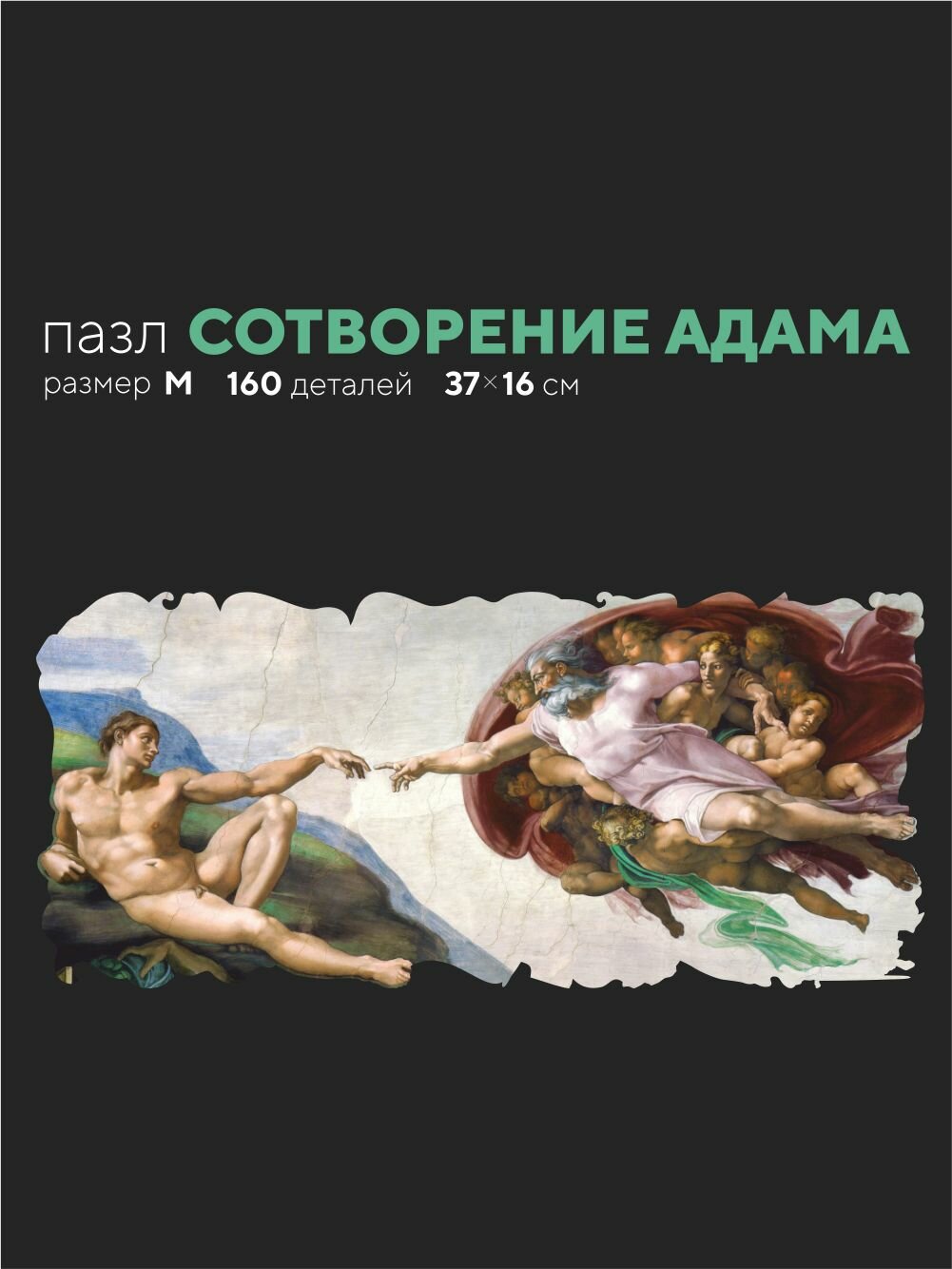 Деревянные пазлы для взрослых и детей Zufa Микеланджело Сотворение Адама 160 деталей 37х16,5 см