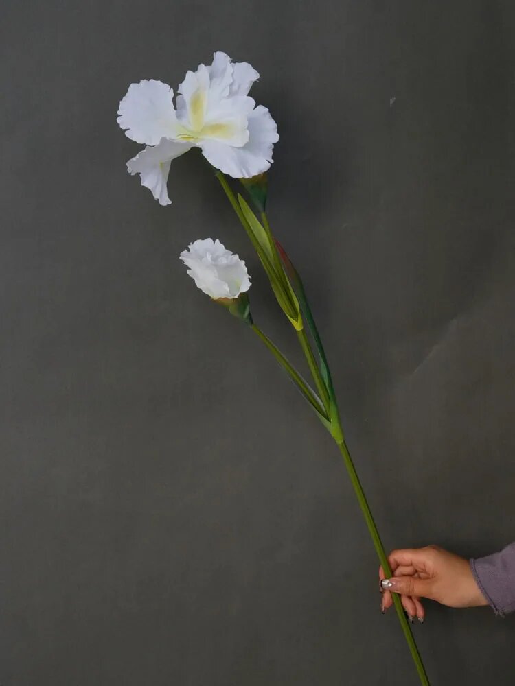 Искусственный шелковый цветок Ирис WQNJIN white