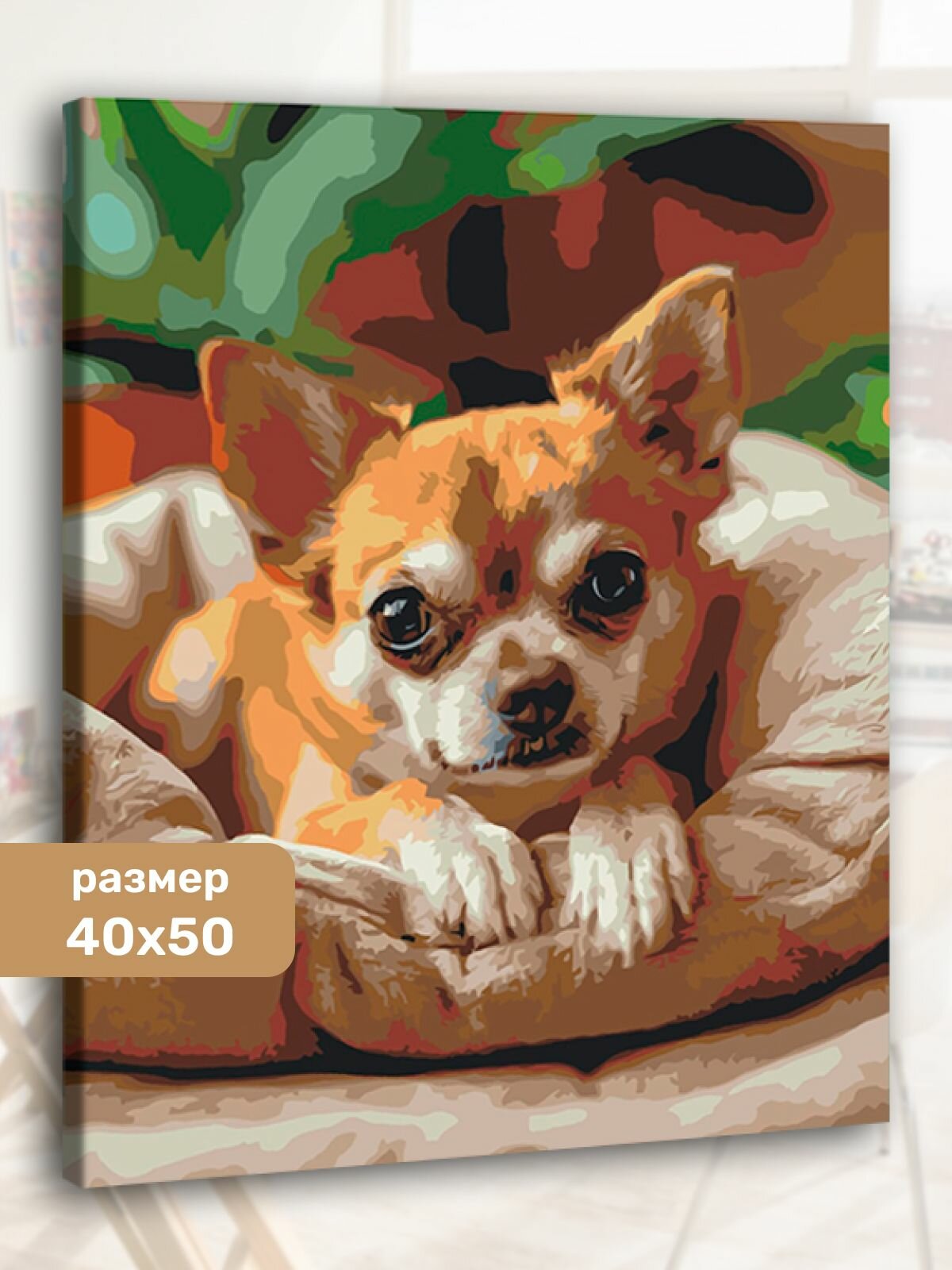 Картина по номерам, на холсте с подрамником 40х50, чихуахуа