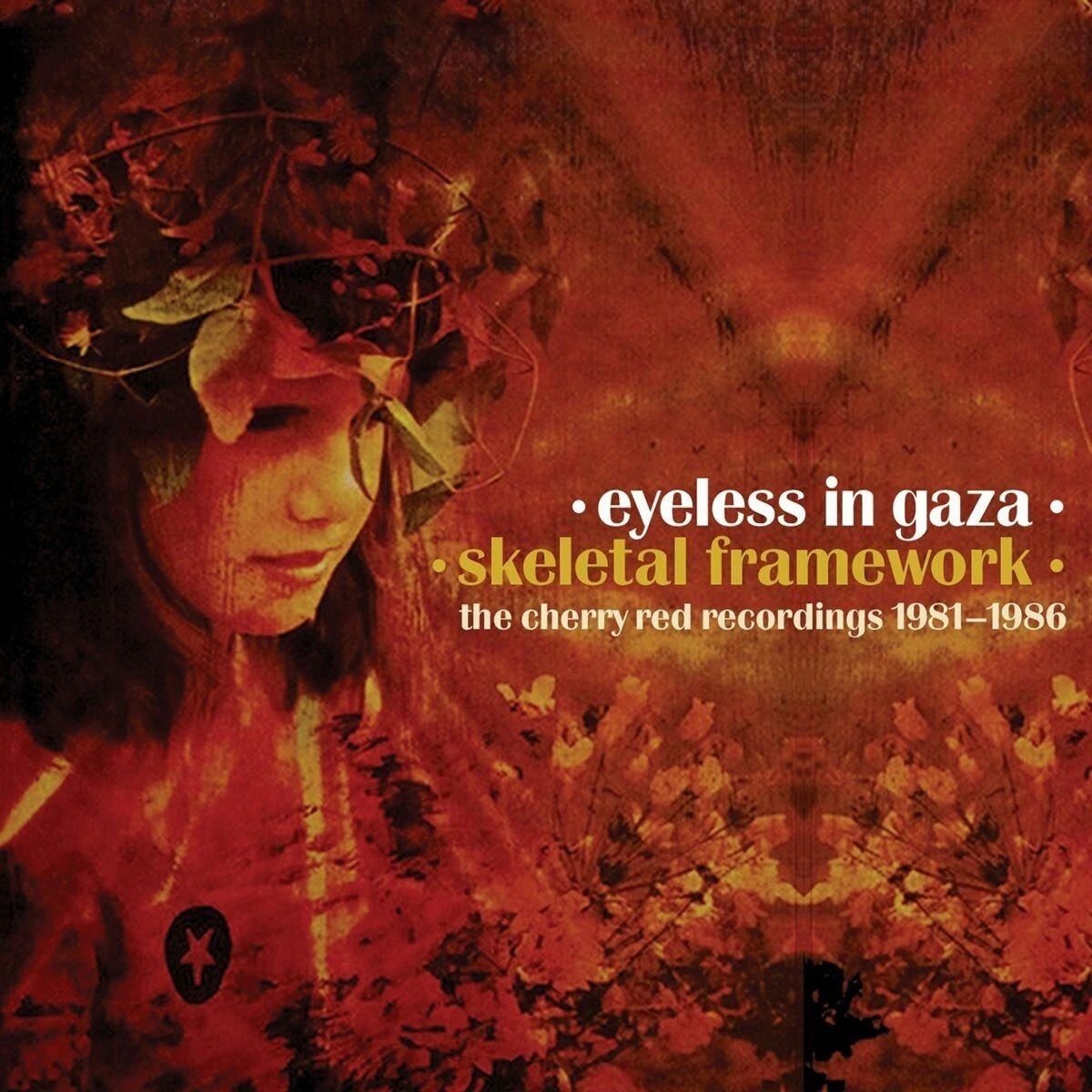 CD диск Eyeless In Gaza - Skeletal Framework: The Cherry Red Recordings 1981-1986 (5CD) 2022, Papersleeves In Box