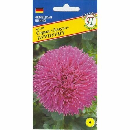 Семена Астра Джуэл Пурпурит - крупноцветковая , высокорослая , для срезки . Престиж