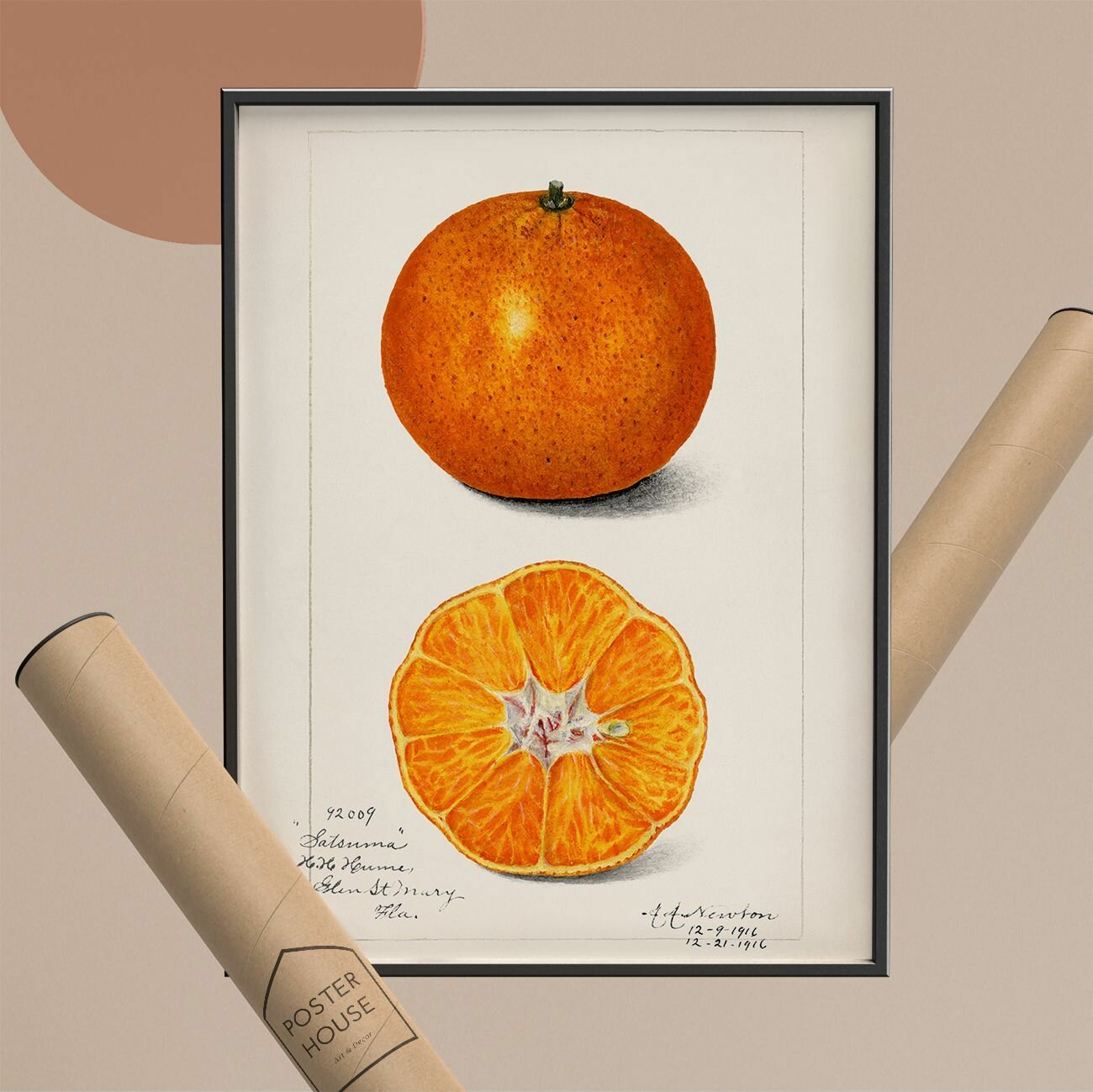 Постер Апельсин Винтаж 50х70 см без рамы/ Эстетика/ Минималистичный эстетичный плакат для интерьера
