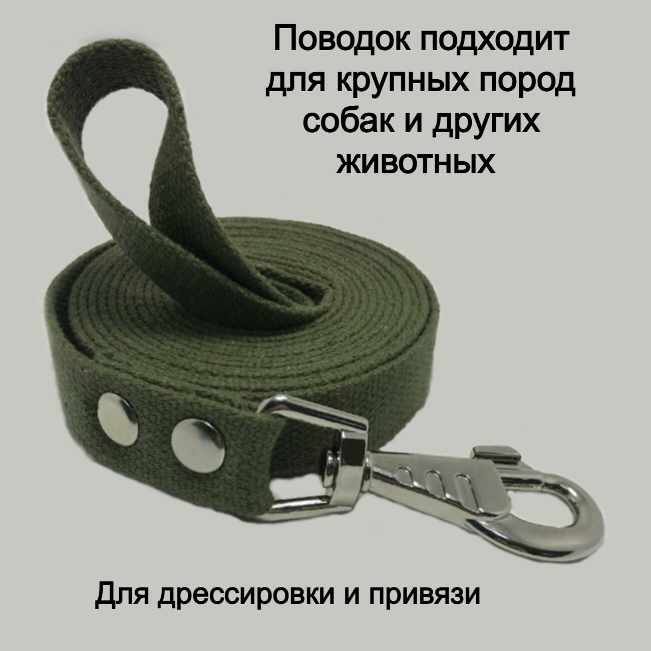 Поводок — фото 1