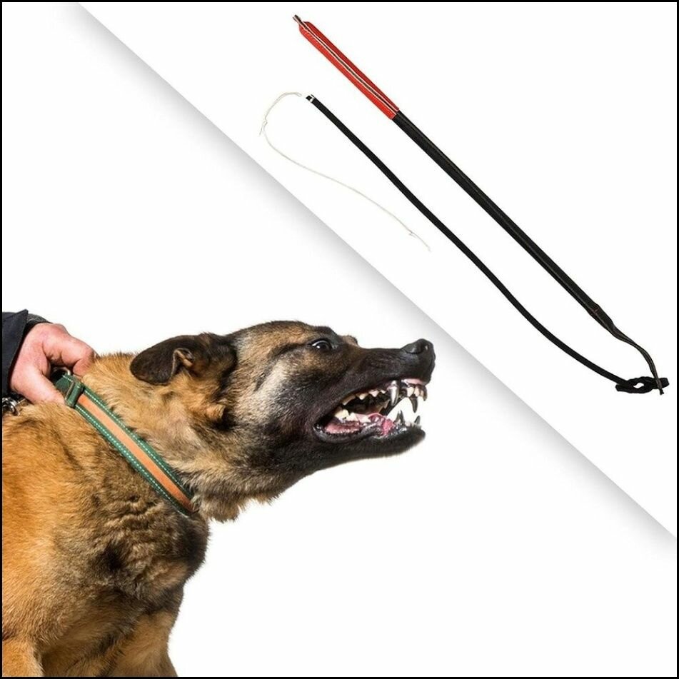 Снаряд для аджилити