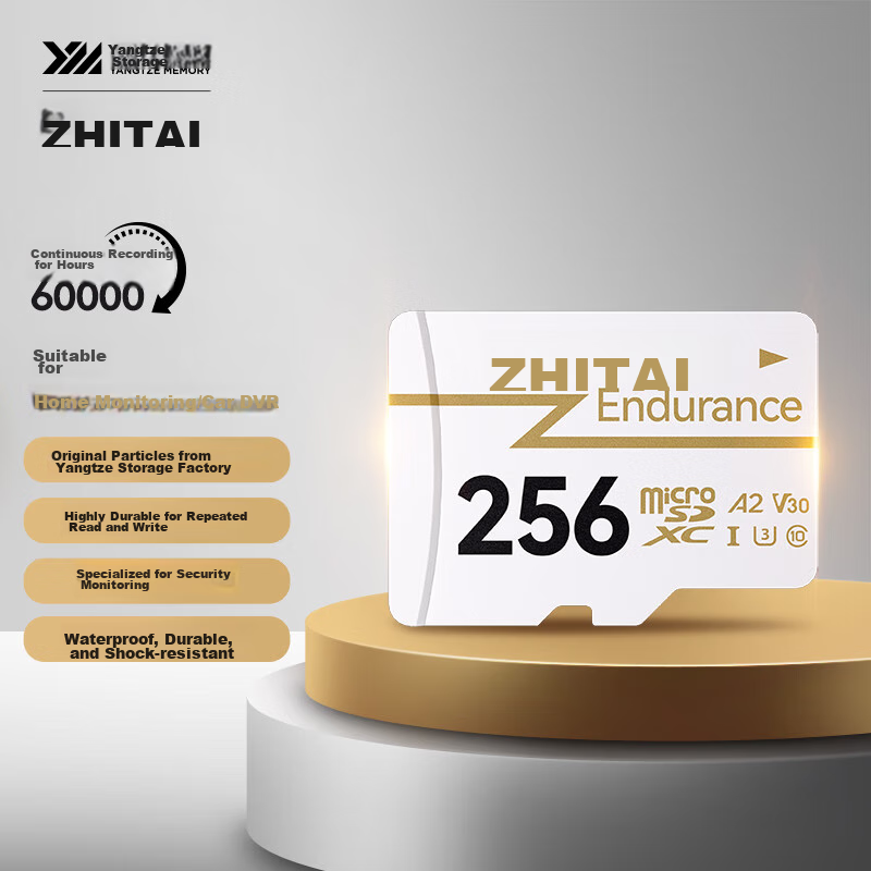 ZhiTai Yangtze Memory 256GB TF (MicroSD) Memory Card, Endurance Dash Cam & Home And Commercial Security Monitoring Camera Special