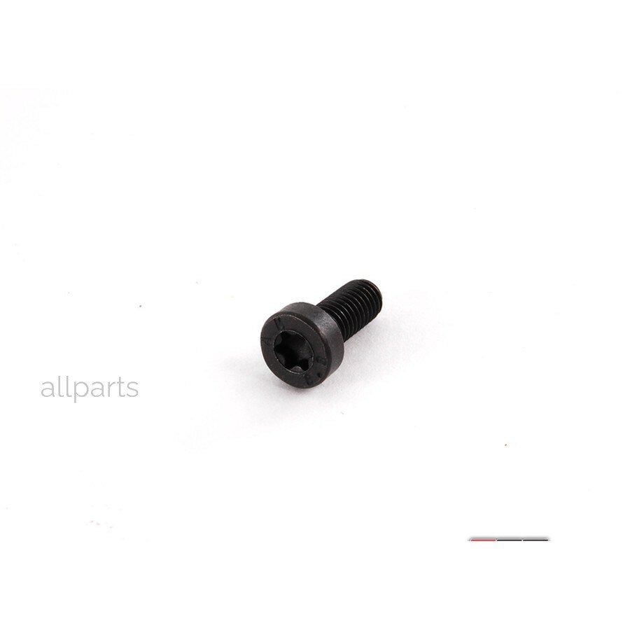 VAG N10459201 Болт с внутренним torx [ORG]