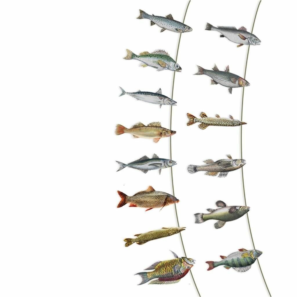 Украшение вечеринки рыболова выдвижным флагом