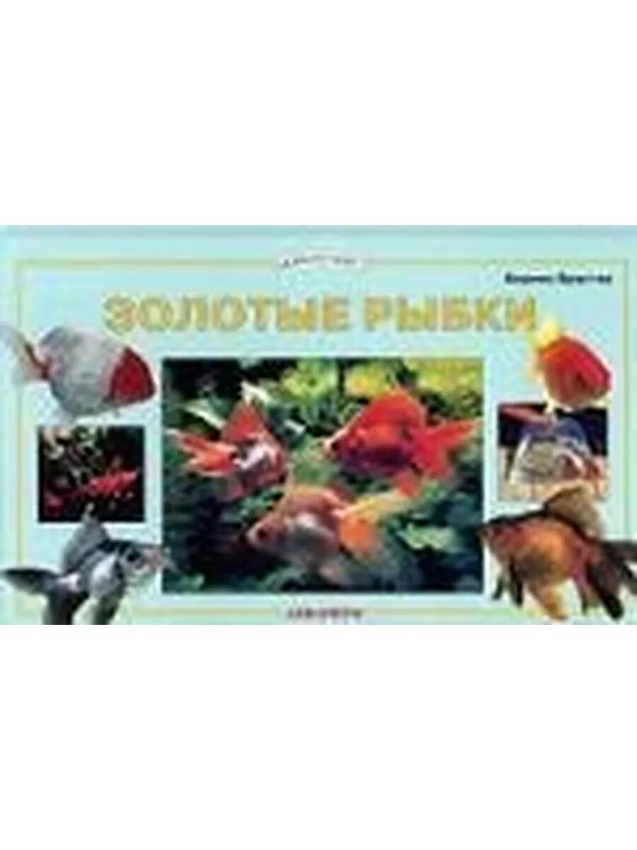 Золотые рыбки