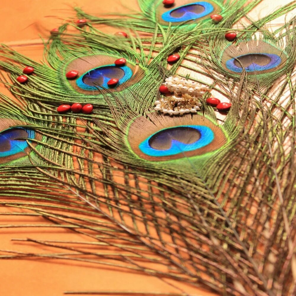 Натуральные перья павлина DailyBesdeals 70-75 см 100 шт