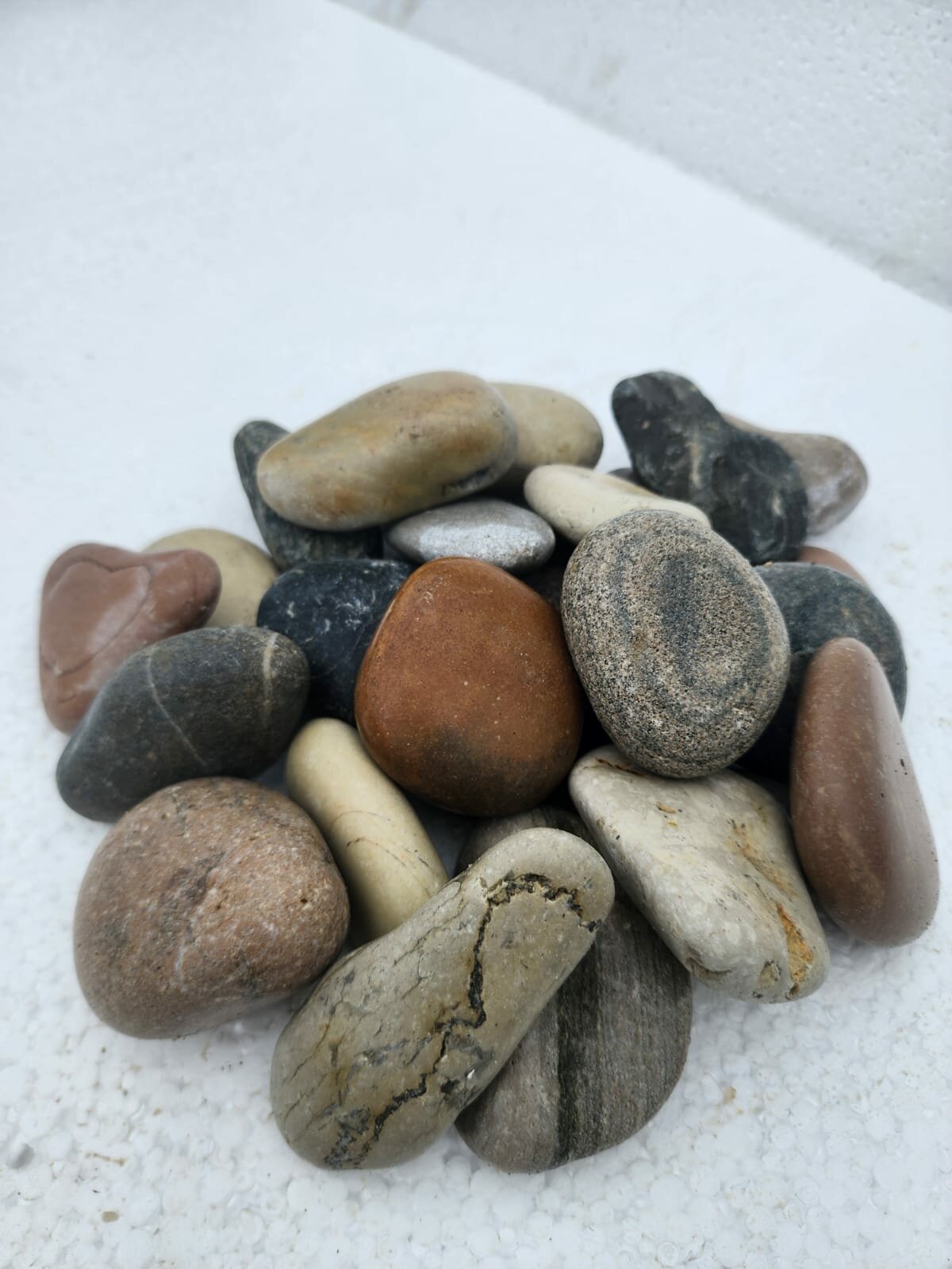 Грунт черноморская галька, для террариума и аквариума, фракция 40–60 мм, 1кг