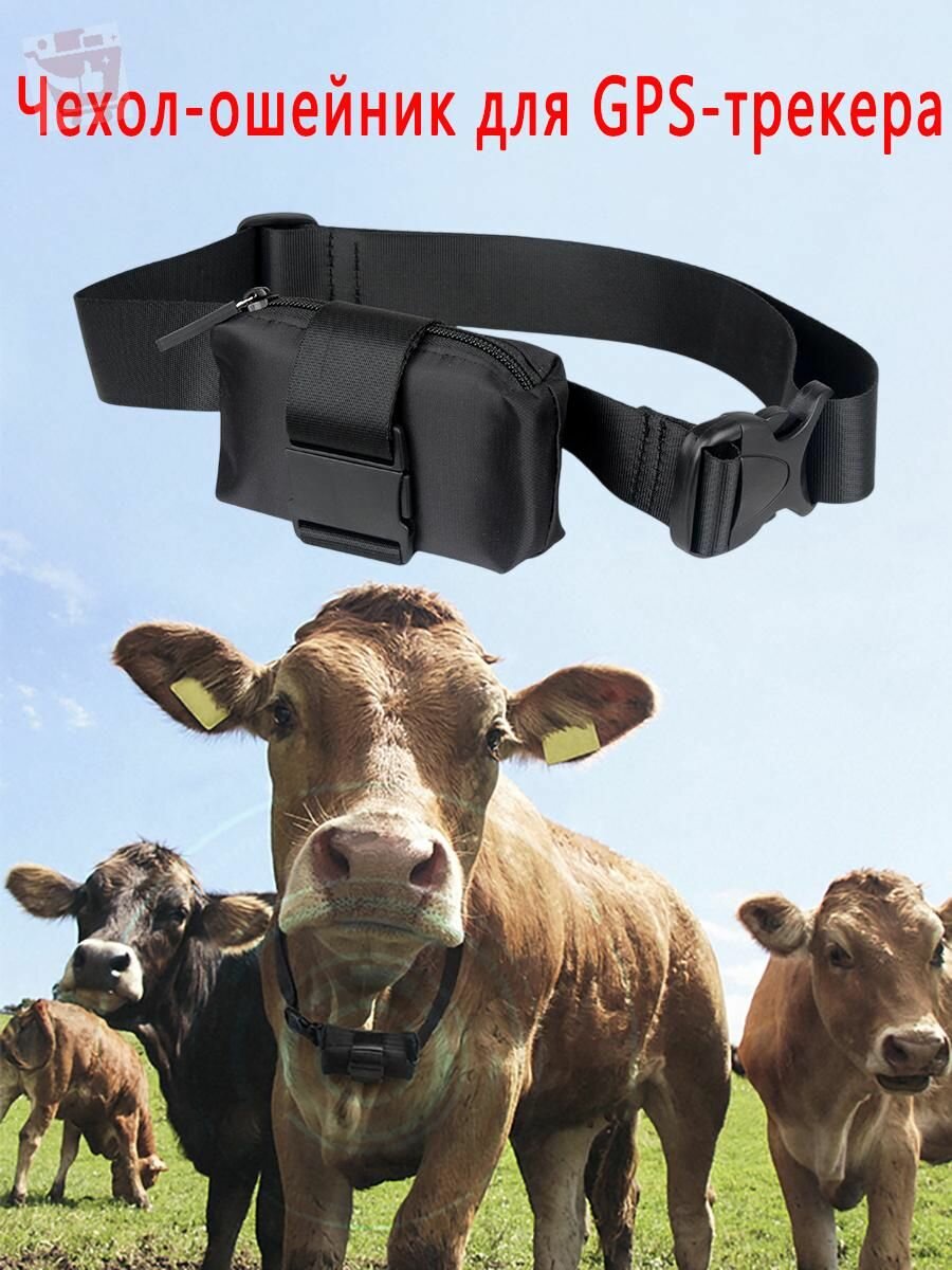 Ошейник с GPS-трекером для крупного рогатого скота и овчарок