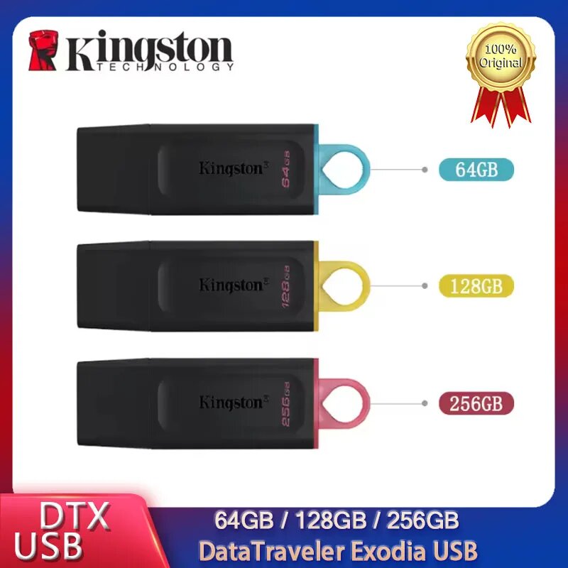 Kingston DTX USB-флешка 64/128/256 ГБ 64 ГБ
