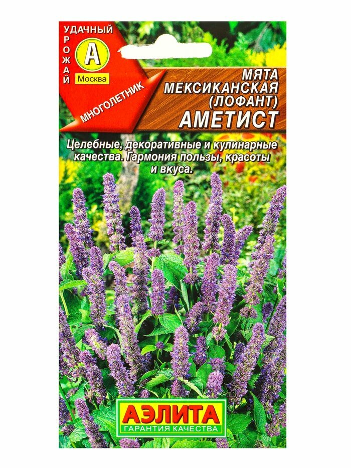 Семена Мята мексиканская Аметист, Ц/П,0,05 г 10945025