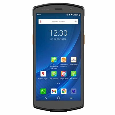 Терминал сбора данных DT50D-13Q3HSR4G6EU