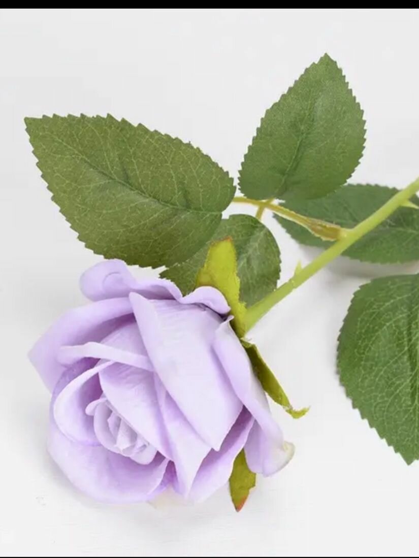 Искусственные цветы F, роза-сирень, 50 см, черные и сиреневые, 5 шт.