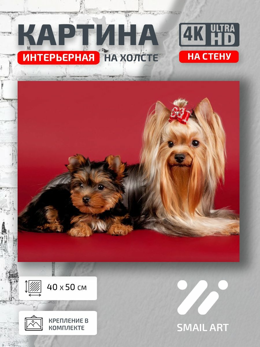Картина на холсте интерьерная 40 на 50 на стену Собачки Mood для гостиной атмосфера декор