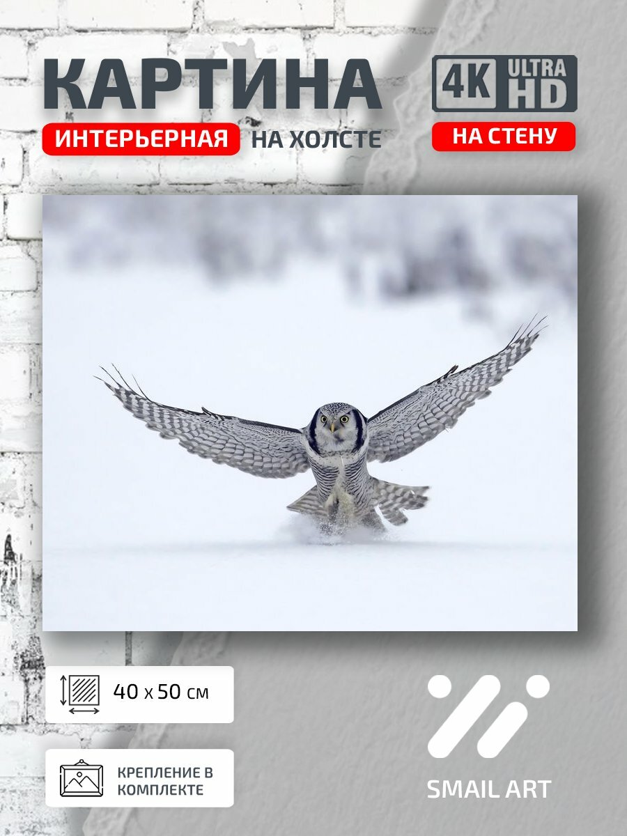Картина на холсте интерьерная 40 на 50 на стену Зима Animal для кабинета animal style декор