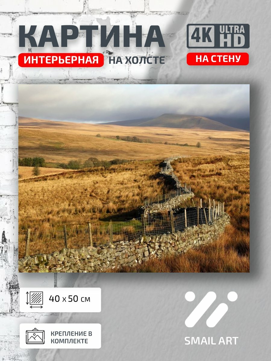 Картина на холсте интерьерная 40 на 50 на стену Степи Landscape для кафе пейзаж интерьер