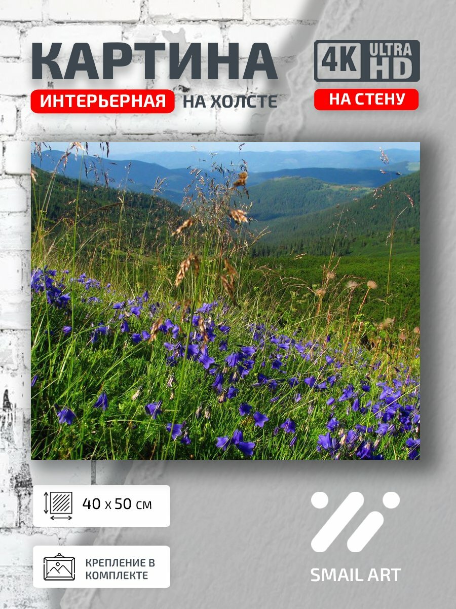 Картина на холсте интерьерная 40 на 50 на стену Склоне Landscape для гостиной пейзаж декор
