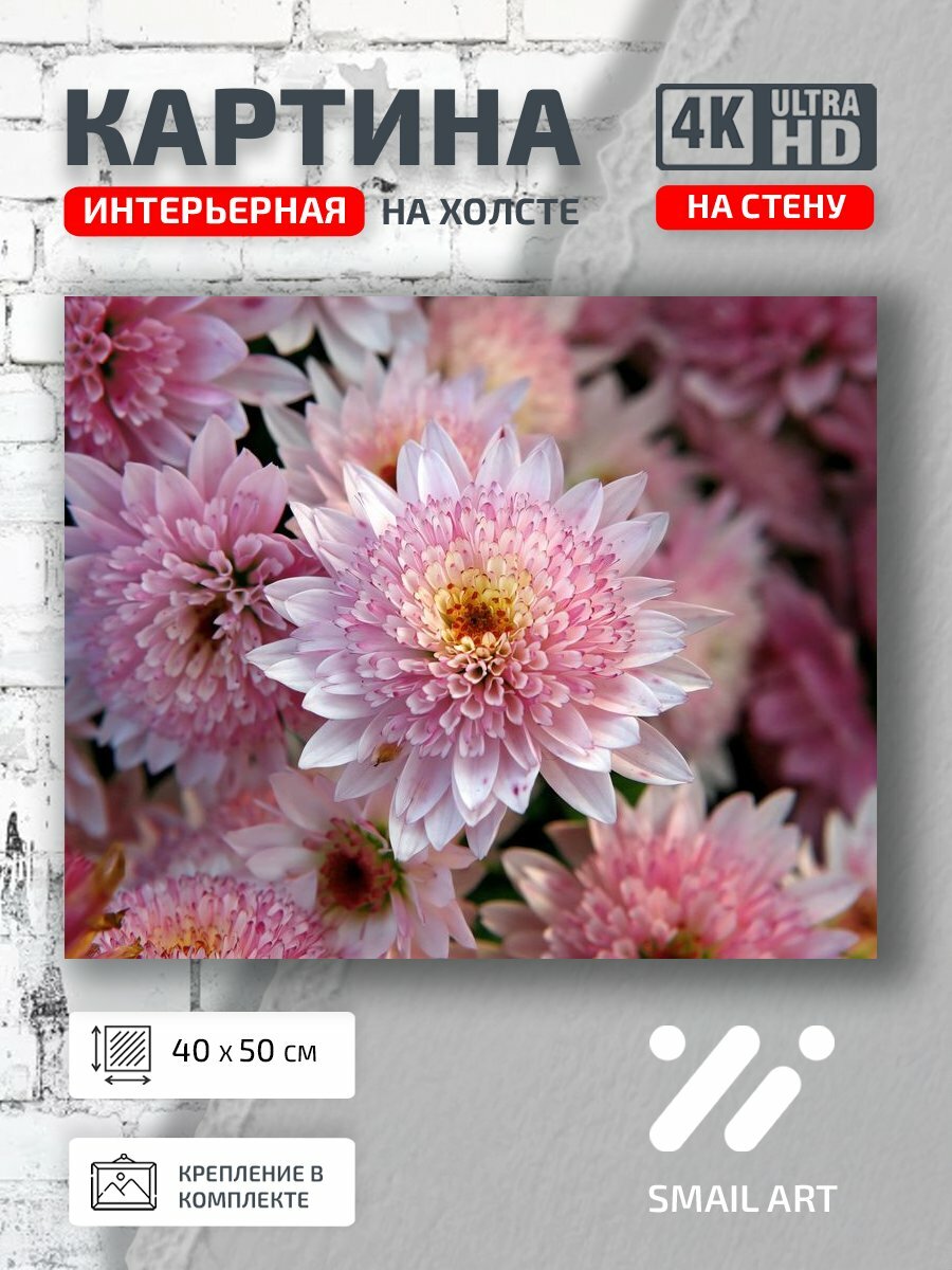 Картина на холсте интерьерная 40 на 50 на стену Хризантема Mood для офиса атмосфера декор