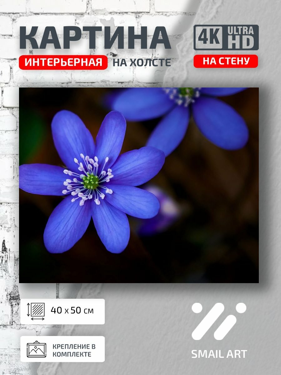 Картина на холсте интерьерная 40 на 50 на стену Синий Mood для офиса атмосфера интерьер
