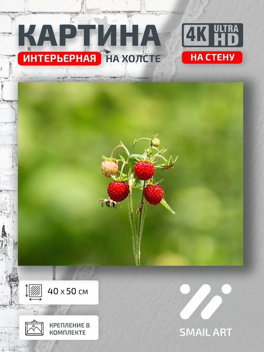 Картина на холсте интерьерная 40 на 50 на стену Земляника Landscape для офиса пейзаж декор