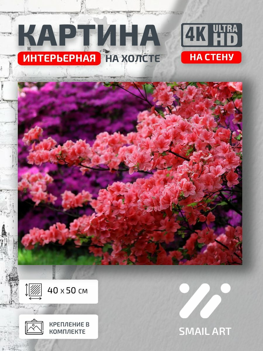 Картина на холсте интерьерная 40 на 50 на стену Деревья Landscape для кафе пейзаж интерьер