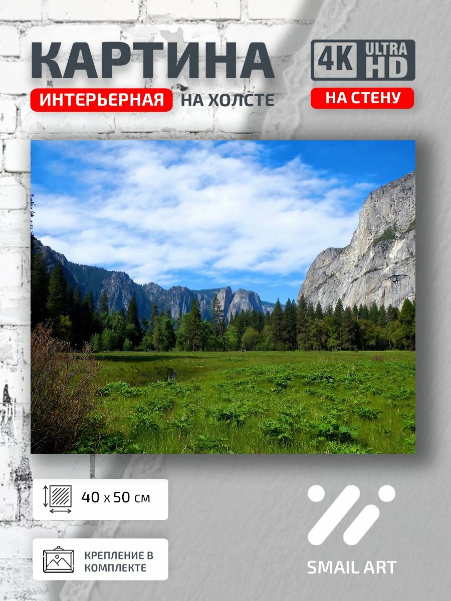 Картина на холсте интерьерная 40 на 50 на стену Деревья Landscape для офиса пейзаж интерьер
