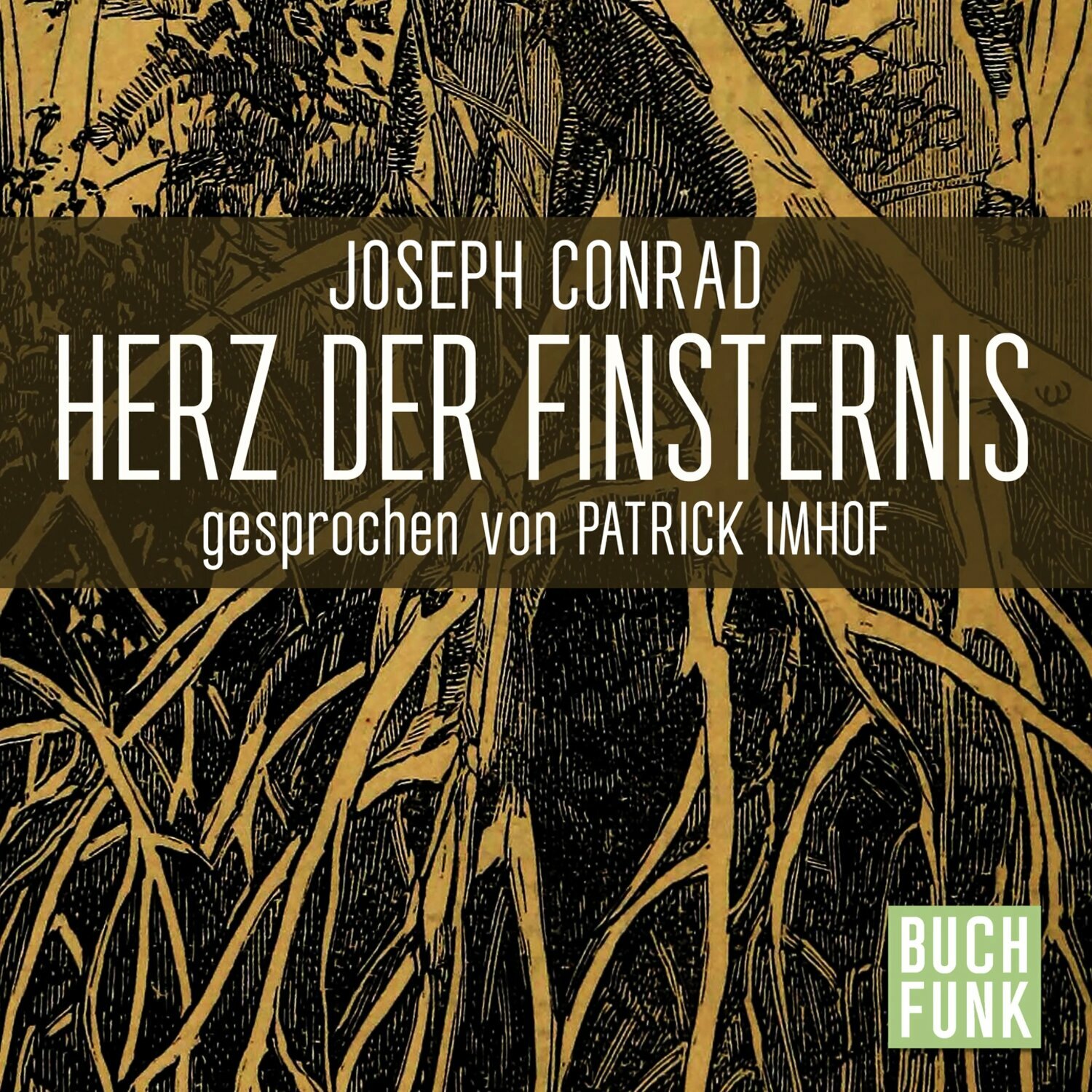 Herz der Finsternis [Аудиокнига]