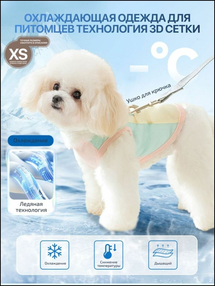 Одежда для животных